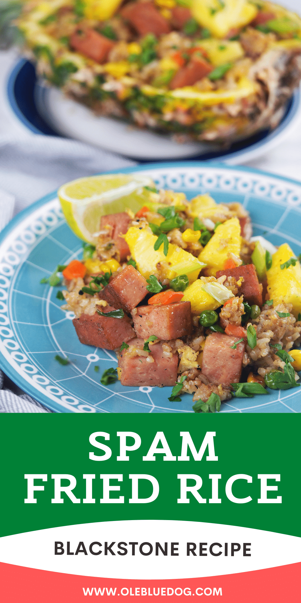 Spam Fried Rice - Ole Blue Dog